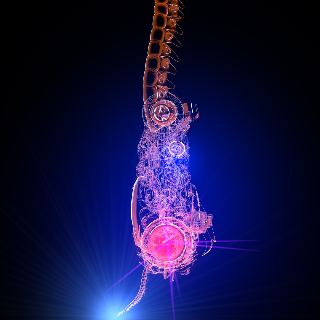 Master of Science | Mechanical Engineering - PoliMi